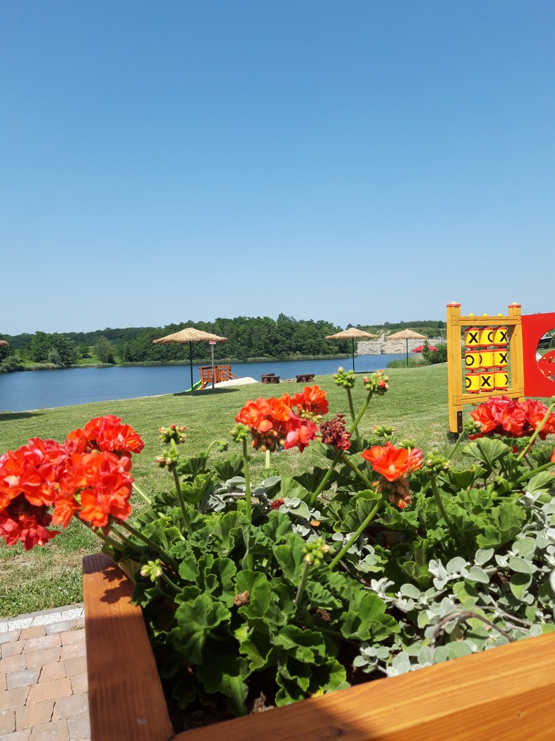 CAMP&REST Gacki "Podkowa" • Sprawdź camping w Polsce na CampRest